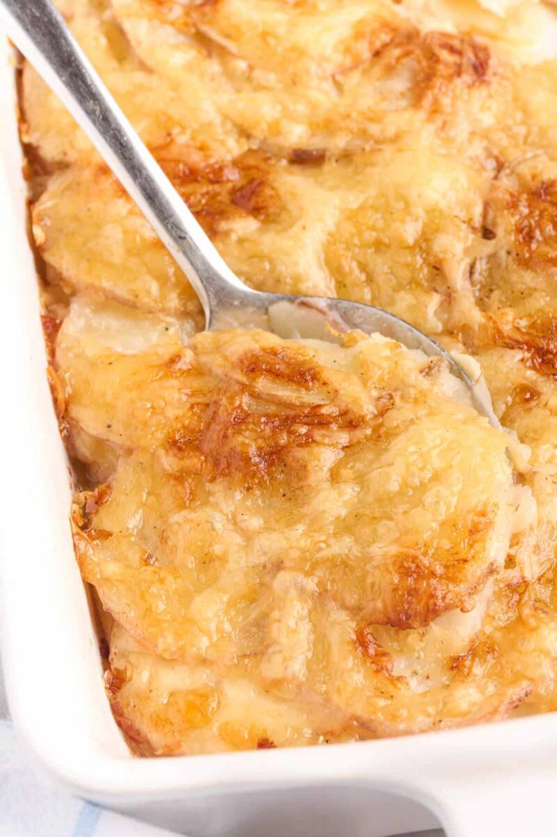 23 Irresistible Swiss Cheese Recipes - Black Ragas